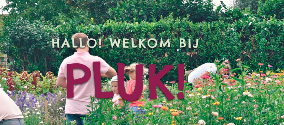 De leukste thee- en pluktuinen van Gelderland - Hip & Hot - blogazine