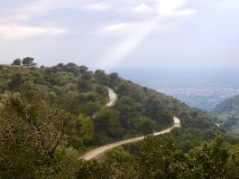 Kloosterberg Puig de Randa op Mallorca - Hip & Hot - blogazine